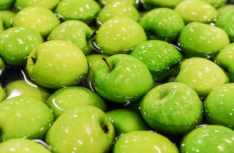 Apples sorting and packing stock image. Image of fruit - 91068189
