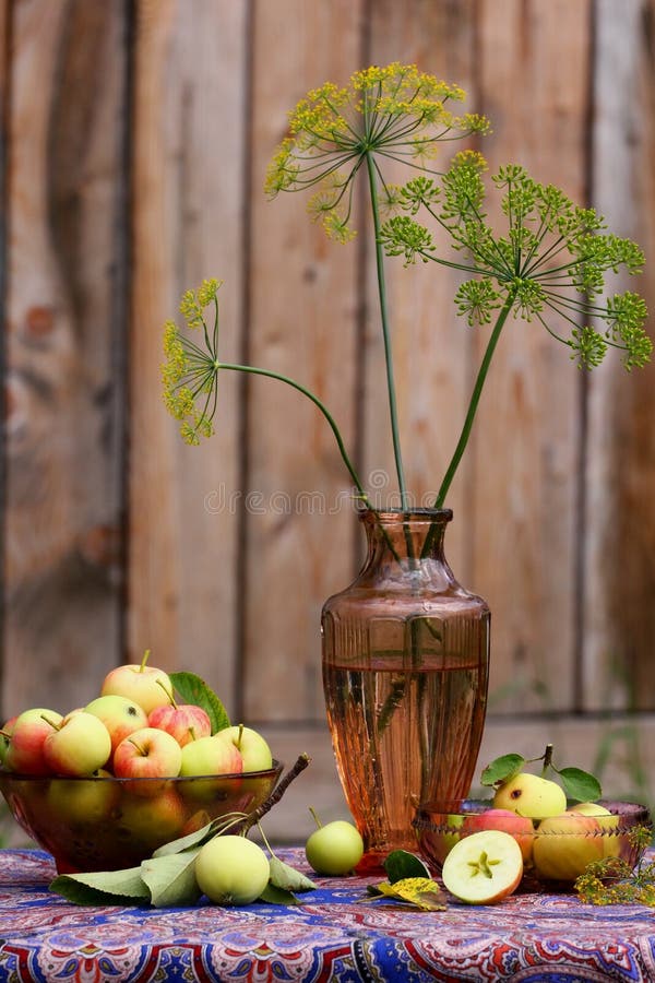 Apples still life stock image. Image of dill, garden - 125351839