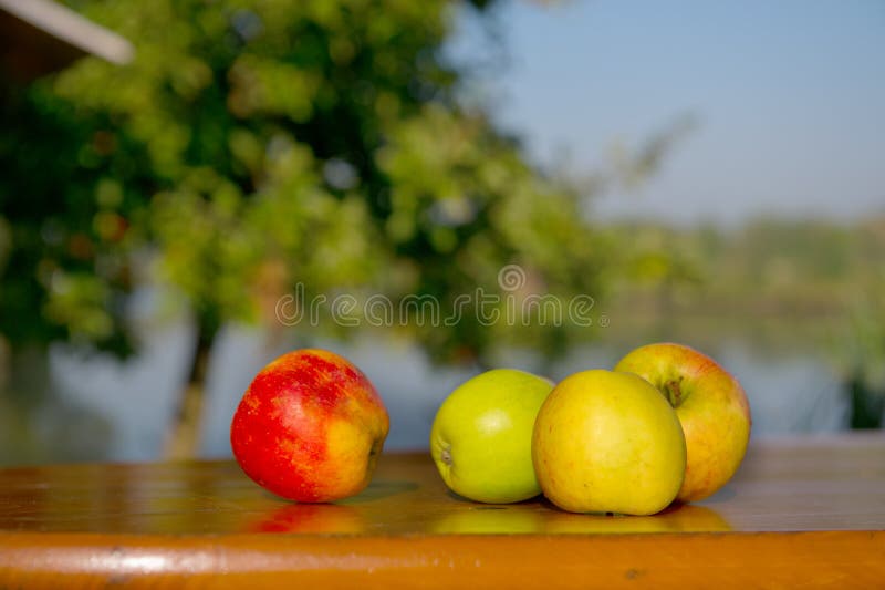 Apples at the table stock image. Image of plucked, life - 21460991