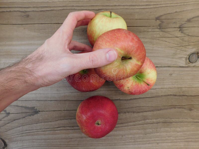 Apples to eat stock photo. Image of fruit, base, food - 64053446