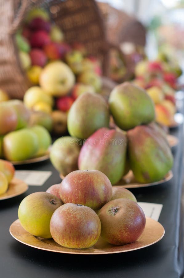 Apples stock image. Image of calorie, natural, green - 52837529