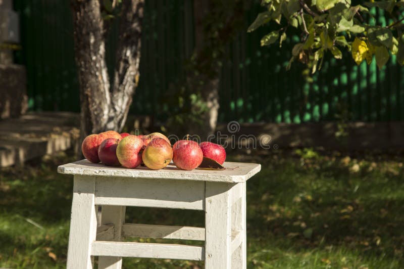 Apples on the white stool stock photo. Image of apple - 57701180