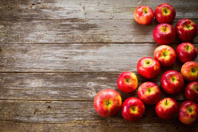 A Lot of Apple on the Trees Stock Photo - Image of delicious, picking ...