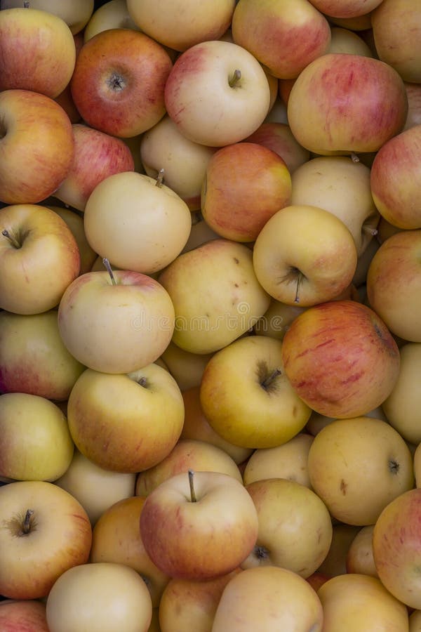 Apples Together Graphic Pattern Stock Photo - Image of ingredient ...