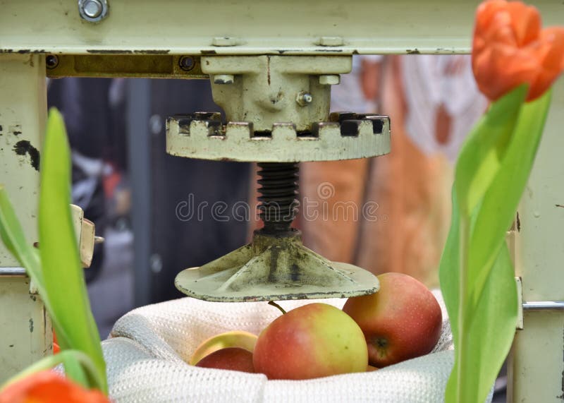Applesauce Being Made Using a Steel Strainer Stock Photo - Image of ...