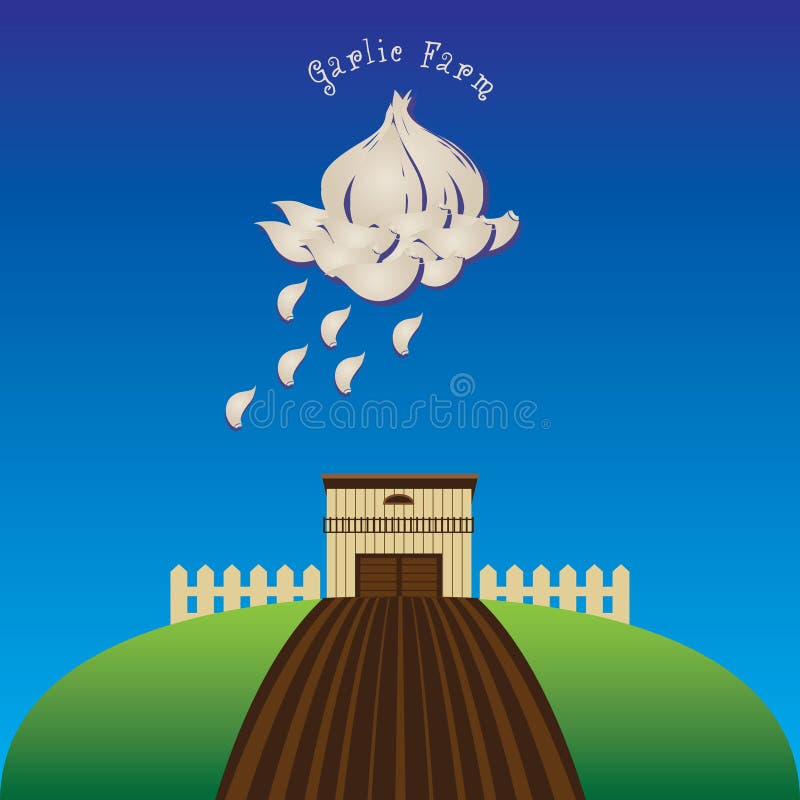 Application Garlic Farm stock vector. Illustration of idea - 94648043