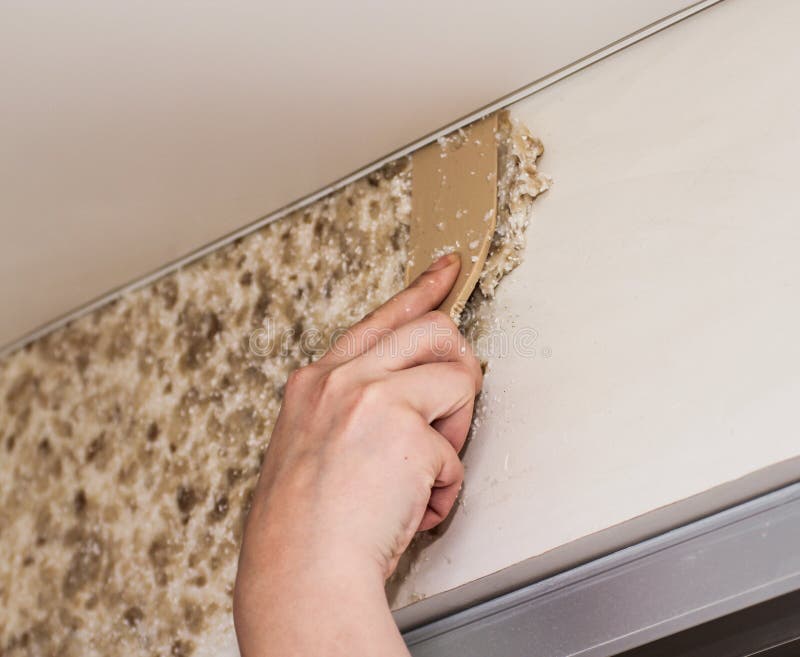 Application of Liquid Wallpaper. Stock Image - Image of scrap, wall ...