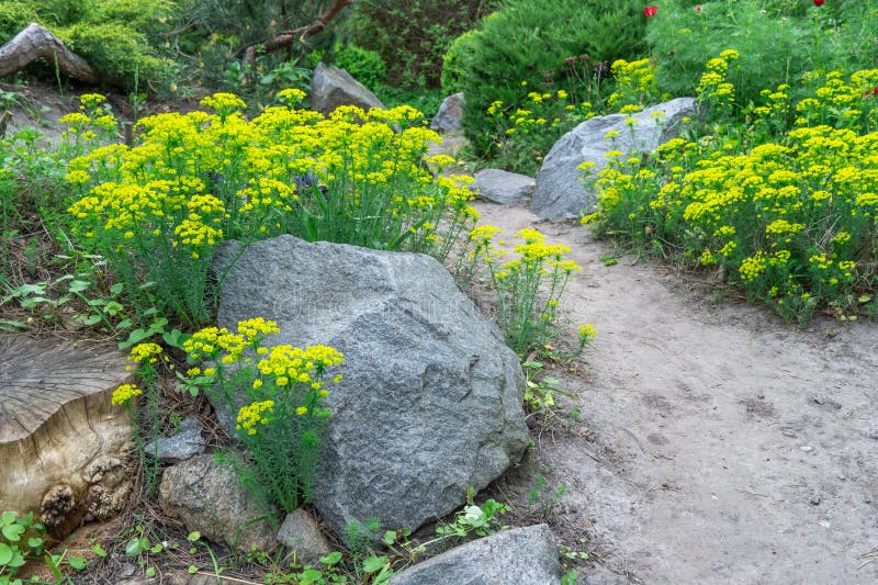 Application Natural Stone in Landscape Design. Example Designers. Stock ...