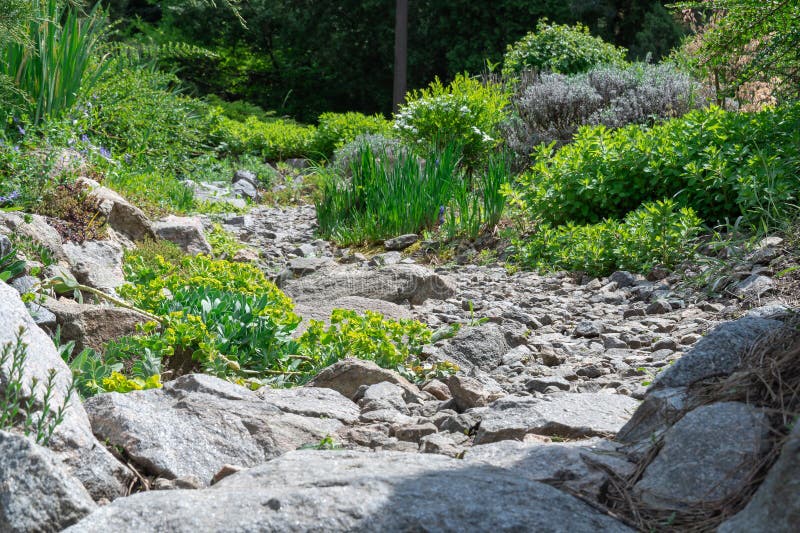 Application Natural Stone in Landscape Design. Stone Path in Garden ...