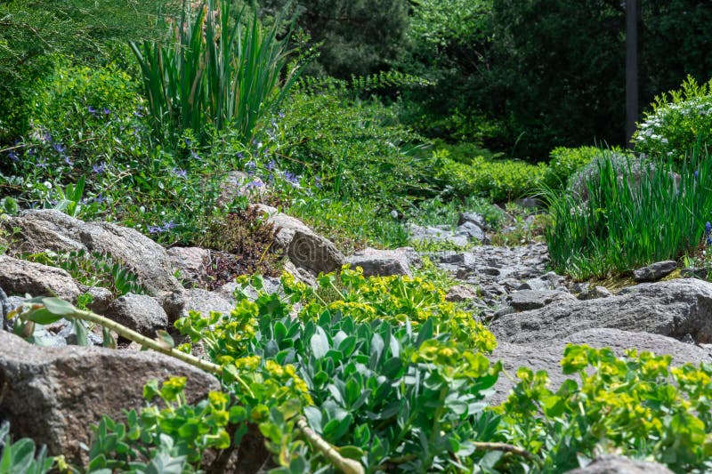 Application Natural Stone in Landscape Design. Stone Path in Garden ...