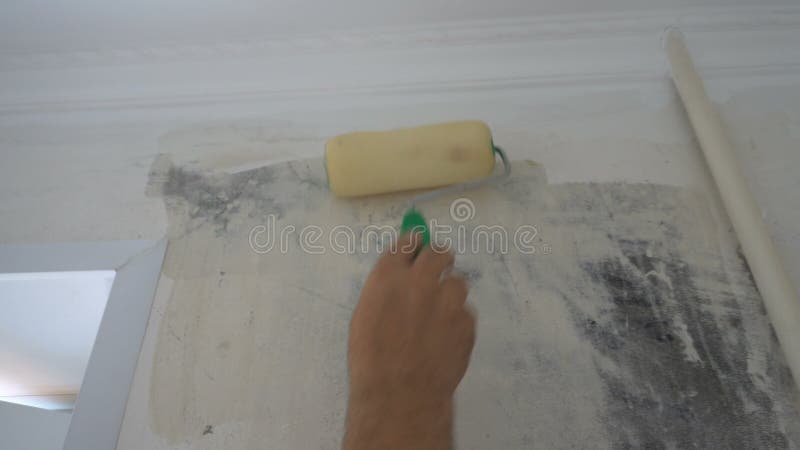 Applying Wallpaper Paste To the Wall with a Roller,preparation for ...