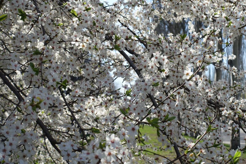 Appreciable Amount Stock Photos - Free & Royalty-Free Stock Photos from ...