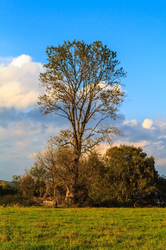 Approach of Autumn stock photo. Image of weather, autumn - 81676024