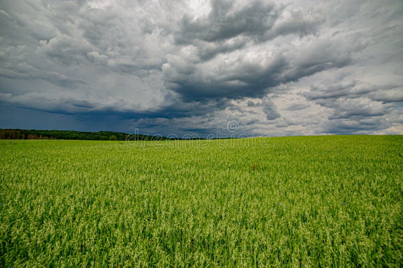 Approaching Summer Thunderstorm with a Dark Weather Front and Dramatic ...