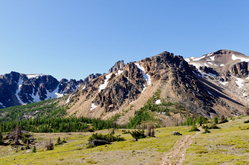 Approaching the Tree Line stock image. Image of mountain - 21933595