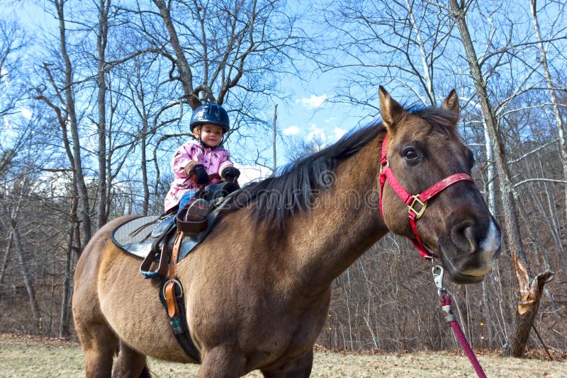 Paseo del caballo foto de archivo. Imagen de caballo - 21885134
