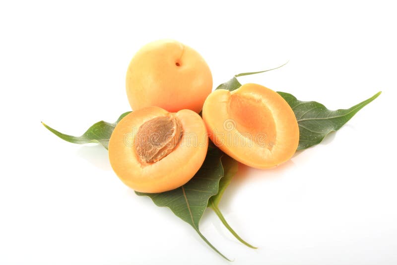 Apricot stock image. Image of nutrition, isolated, sweet - 2518621