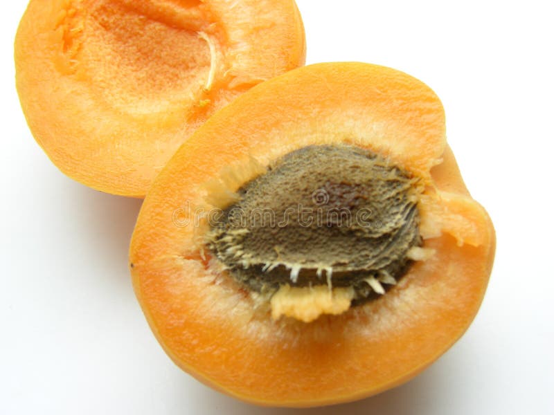 Apricot 2 stock photo. Image of closeup, summer, fruits - 192426