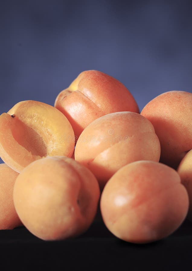Apricot stock photo. Image of ingredients, calcium, dried - 23237522