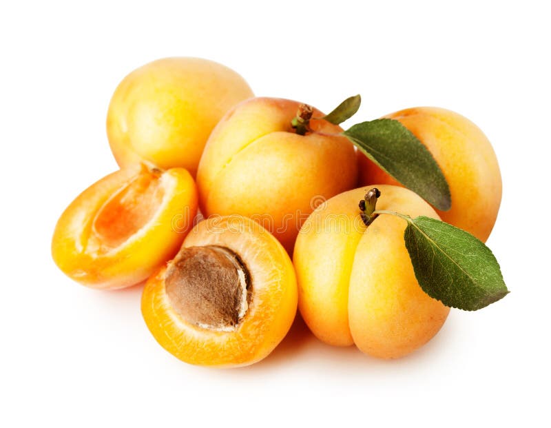 Apricot fruits stock image. Image of still, food, white - 25137397