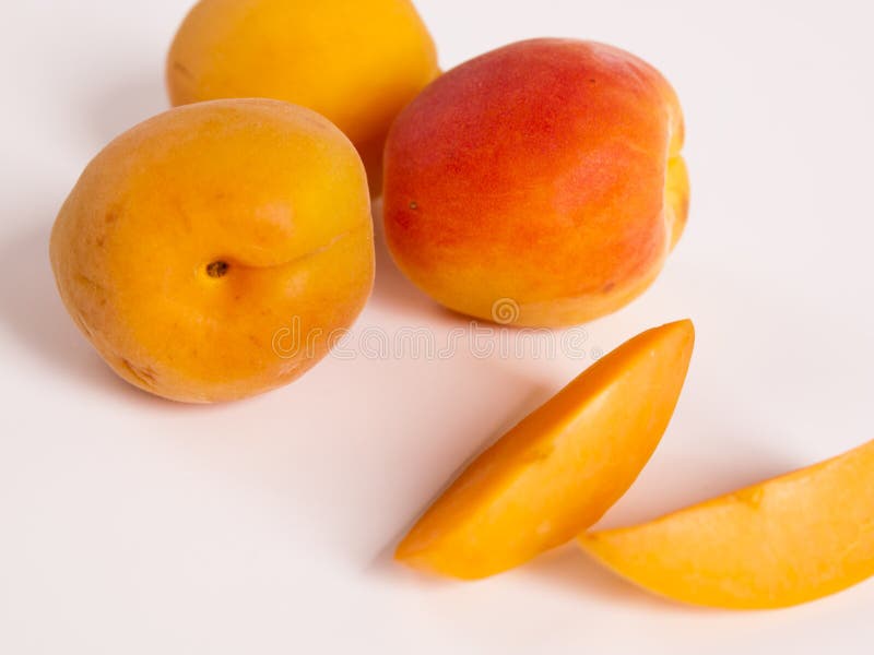 Apricot stock image. Image of plant, armeniaca, organic - 24843941