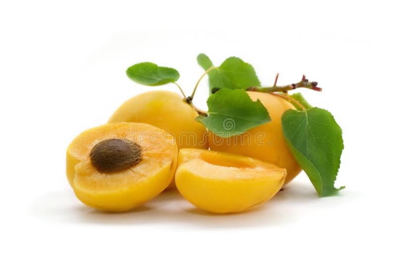 Apricot stock image. Image of healthy, organic, white - 2534023