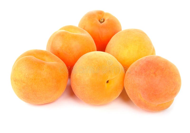 Apricot. stock image. Image of green, beverage, apricot - 23184365