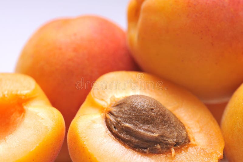 Poisonous green potatoes stock photo. Image of careful - 26085264