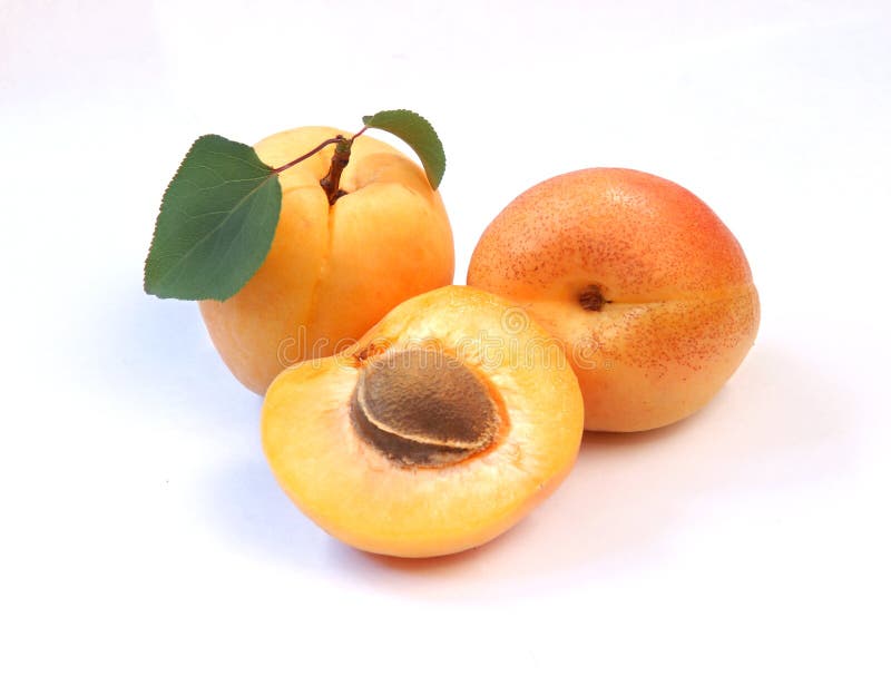 The Apple is Affected by Scab. Agricultural Scab is a Dangerous Plant ...