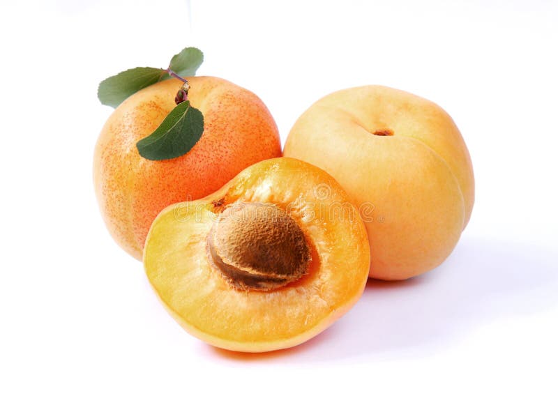 Apricot stock image. Image of dessert, season, frond - 49819865
