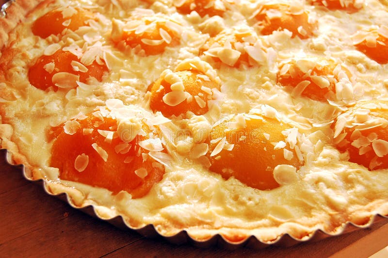 Apricot and almond tart stock photo. Image of apricots - 12123524