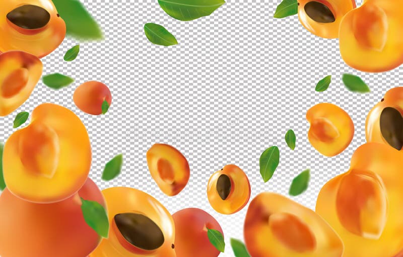 Apricot Background. Fresh Apricot with Green Leaf on Transparent ...