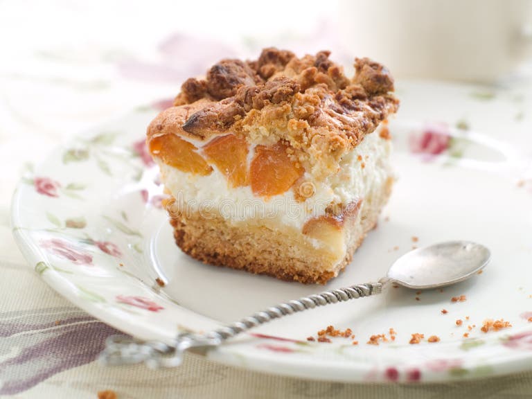 Apricot cake stock photo. Image of sliver, spoon, homemade - 32674440