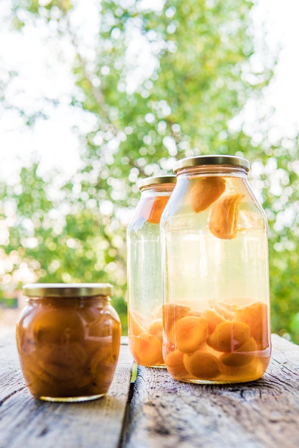 Apricot Compote in a Glass Jar Outdoor Stock Image - Image of compote ...