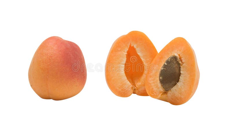 Apricot cut in half stock image. Image of apricot, antioxidant - 9844357