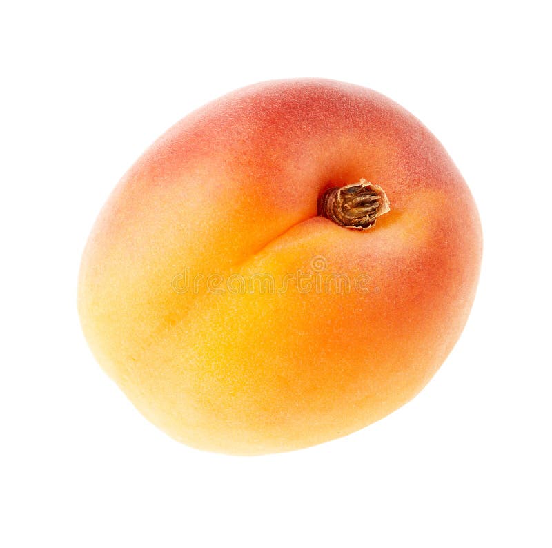 Apricot. Fresh Apricot Fruit Isolated Stock Photo - Image of ingredient ...