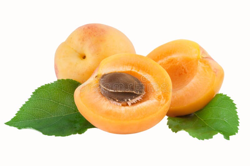 Apricot Fruit Cut Half Fruit with Core Stock Image - Image of close ...
