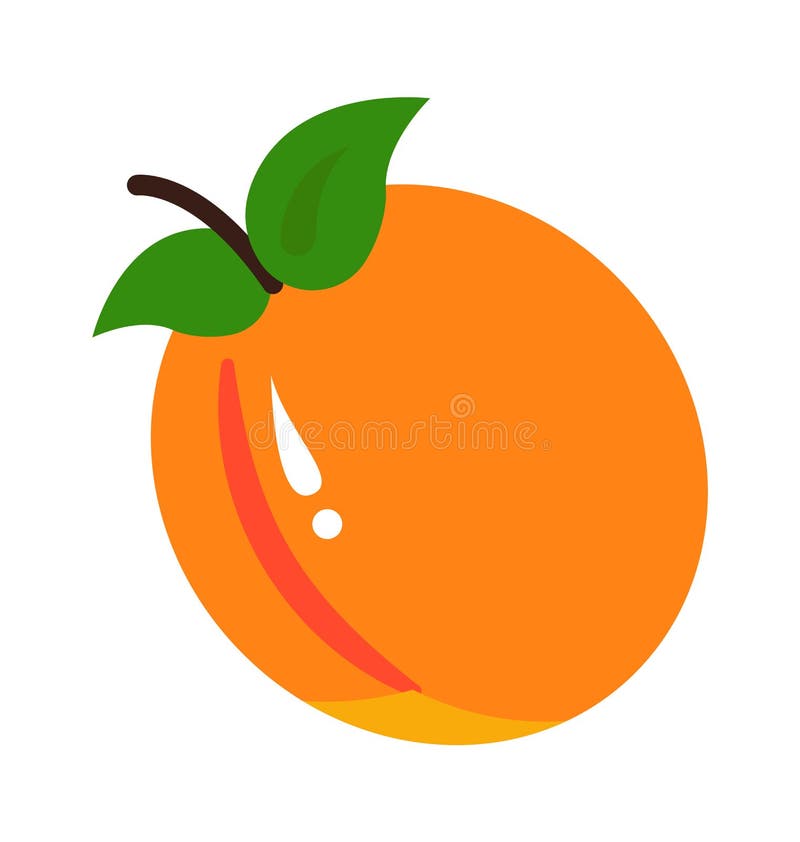 Apricot Fruit. Healthy Food Stock Vector - Illustration of juice ...