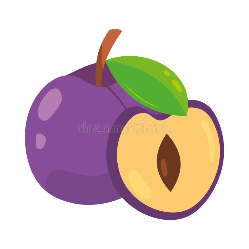 Apricot fruit icon stock vector. Illustration of fruit - 289622735