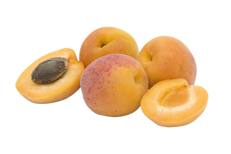 Apricot Fruit stock photo. Image of gourmet, natural - 73003436