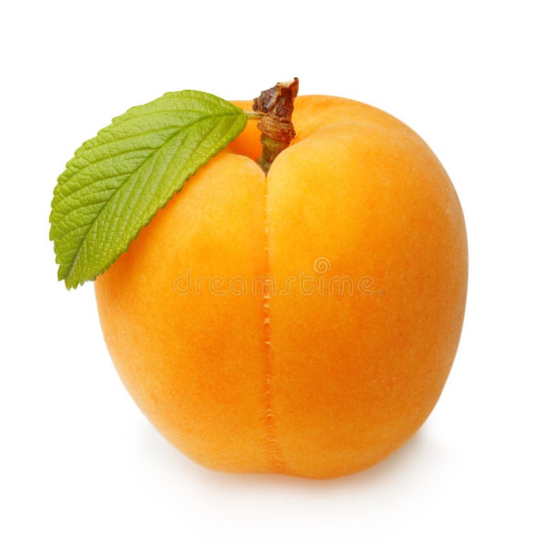 Apricot Fruit Cut Open with Pips and Kernels in the Foreground. Stock ...