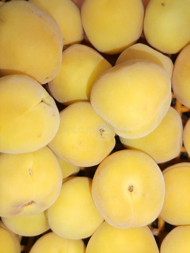 243 Image Pictu Stock Photos - Free & Royalty-Free Stock Photos from ...