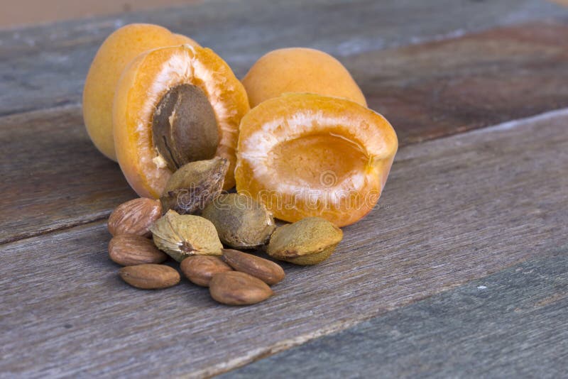 Apricot Fruit with Pips and Kernels Stock Image - Image of orange ...