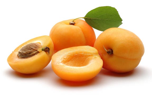Apricot fruits stock image. Image of still, food, white - 25137397