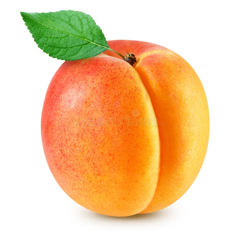 Apricot Fruit