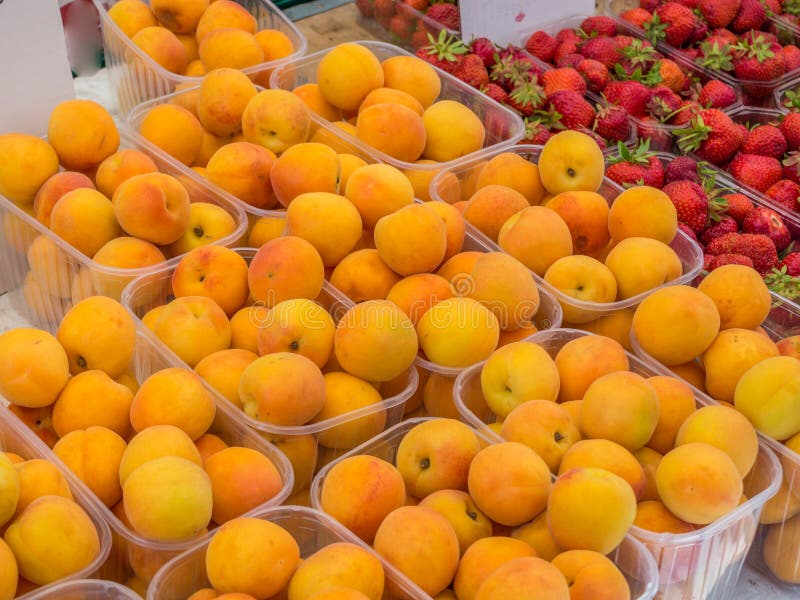 Apricot Fruits in the Market Stock Image - Image of ingredient ...