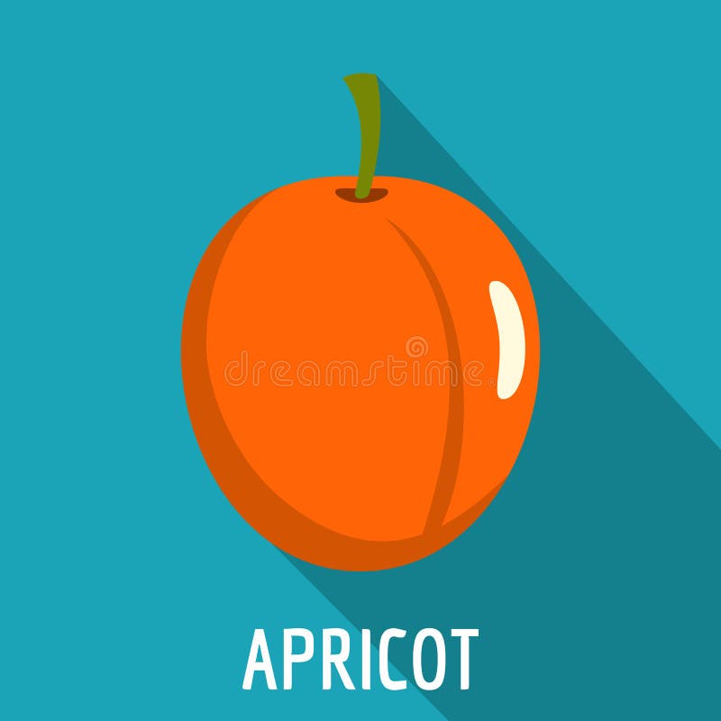 Apricot icon, flat style stock vector. Illustration of sign - 106114992