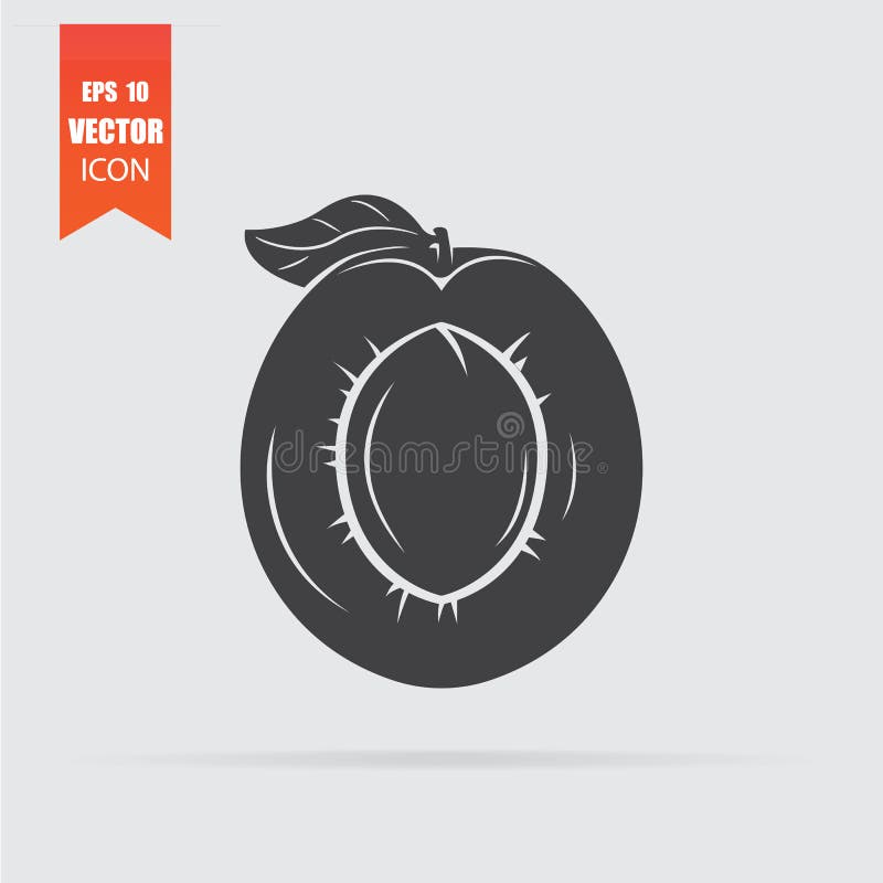 Apricot Icon in Flat Style Isolated on Grey Background Stock Vector ...