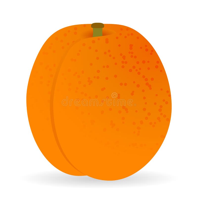 Icon Set Apricot stock vector. Illustration of pieces - 32640336