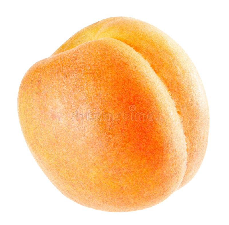 Apricot Isolated on a White Background Stock Photo - Image of yellow ...